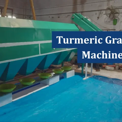 Lakadong Turmeric: Cultivating the World's Highest Curcumin Variety ...